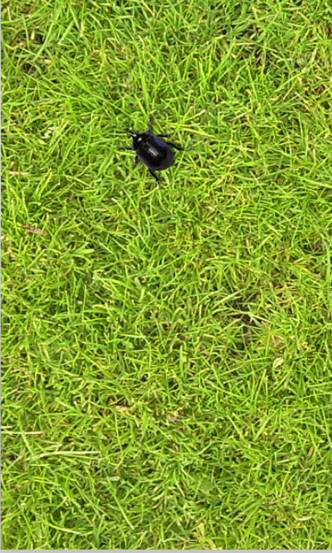 Aplicación Game of Cuh-Cuh-Cuh en Amazon Appstore