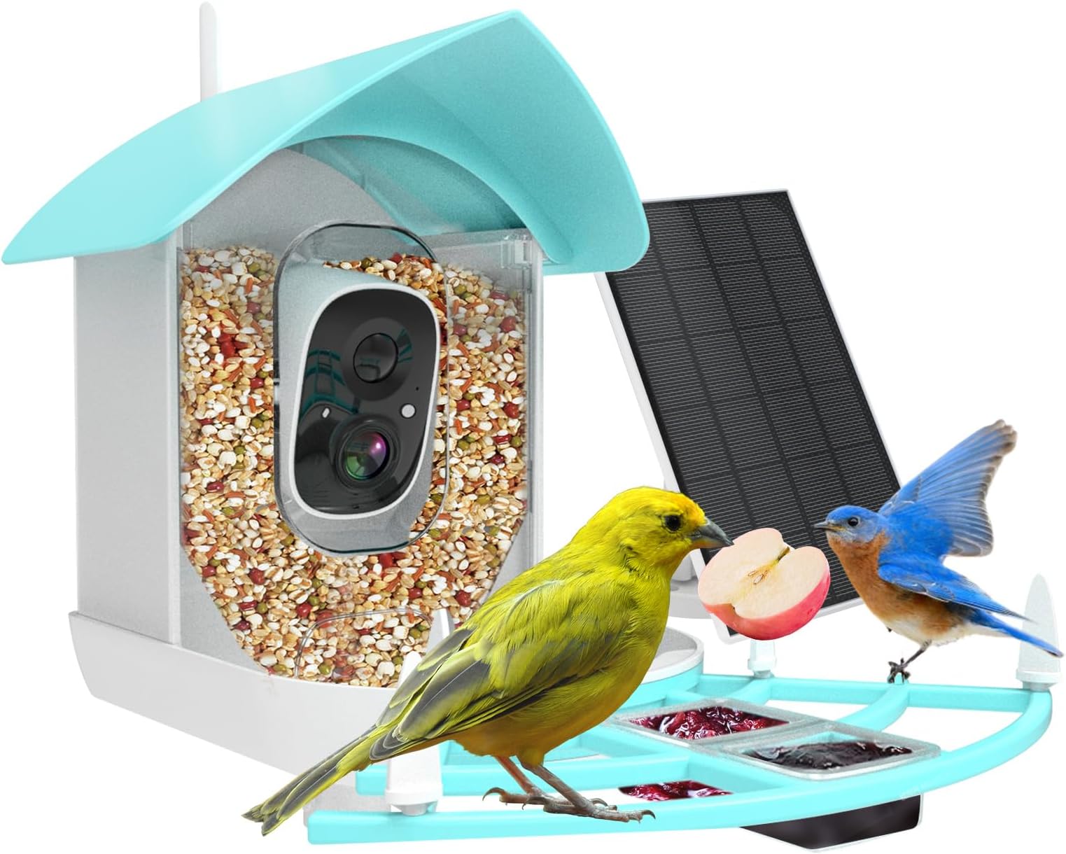 Amazon.com : birdsnap® TUC Smart Bird Feeder with Camera Solar Powered 2K HD Live AI Identify ...