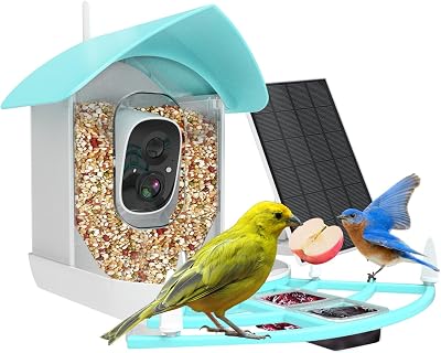 Amazon.com : Oneware Wild Bird Feeder Camera, Smart Motion Activated ...