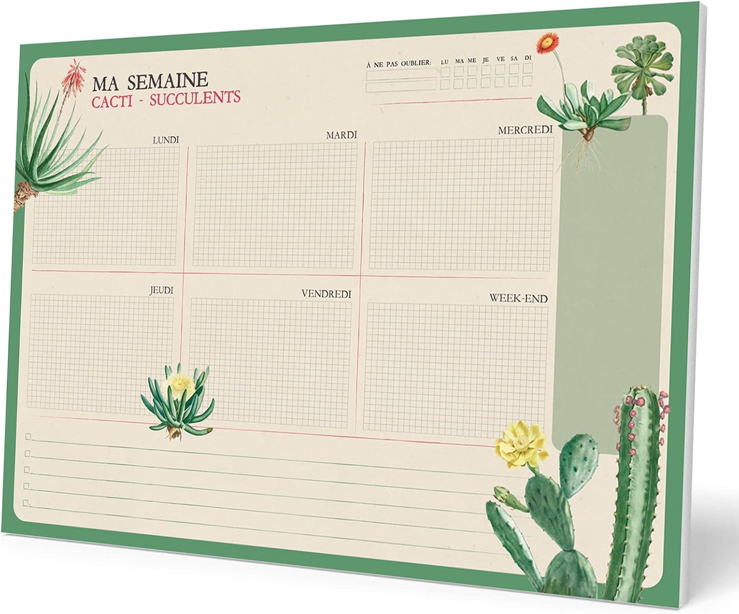 Amazon.com : Grupo Erik French Version Botanical Cacti A4 Desk Pad with ...
