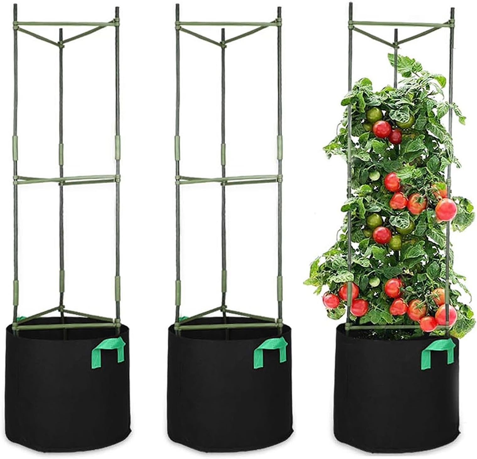 Amazon.com : Suzile 16 Pcs 65 Inches Plant Cages Assembled Tomato Cage ...