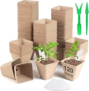 Amazon.com: Baxrou 120 Pack 3.15 Inch Square Peat Pots for Seedlings ...