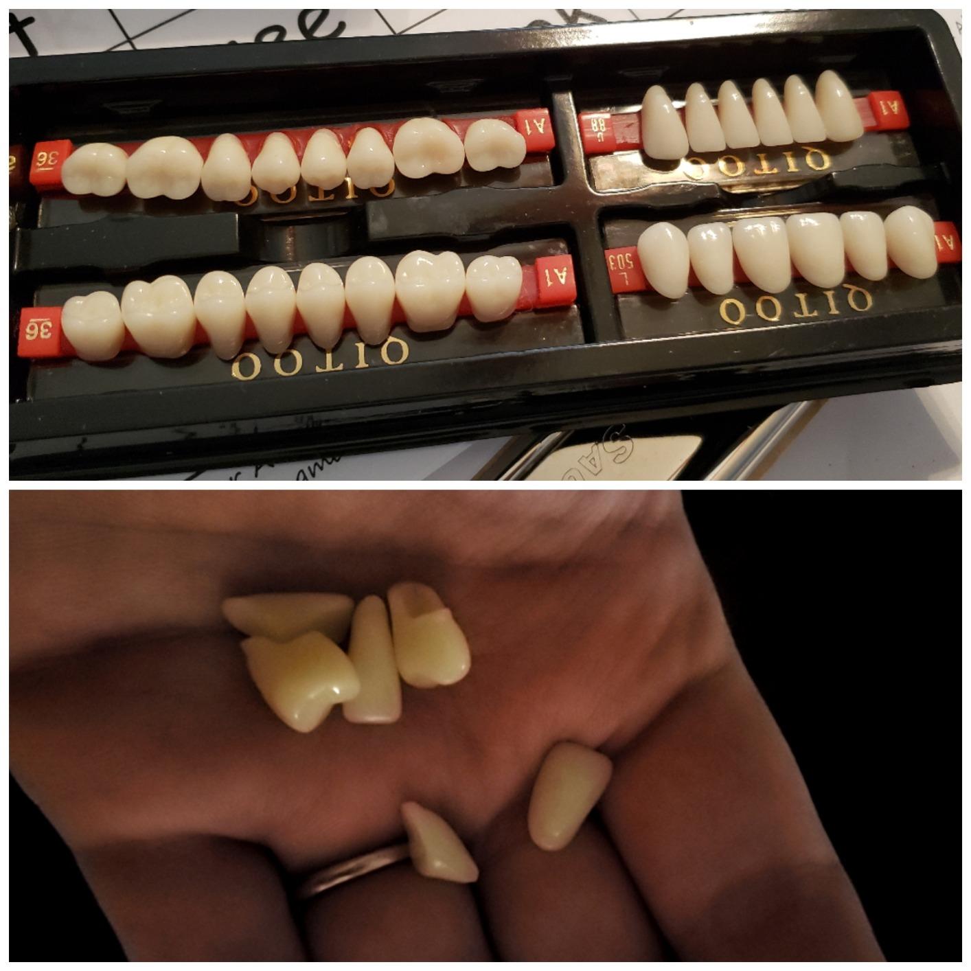 Amazon.com: QITOO Denture Teeth Dental Acrylic Resin Tooth Full Set for ...