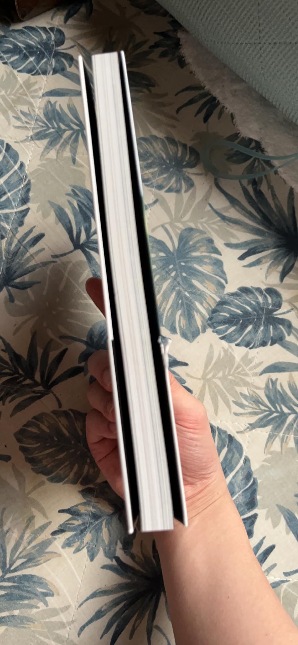 Amazon.co.jp: Pilgrim : ReoNa: 本