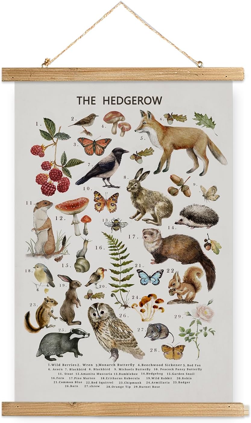 Amazon.com: XIAOAIKA British Hedgerow Wildlife Educational Poster ...