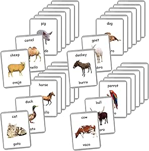 Amazon.com: Tarjetas flash bilingües en español inglés | Tarjetas flash ...