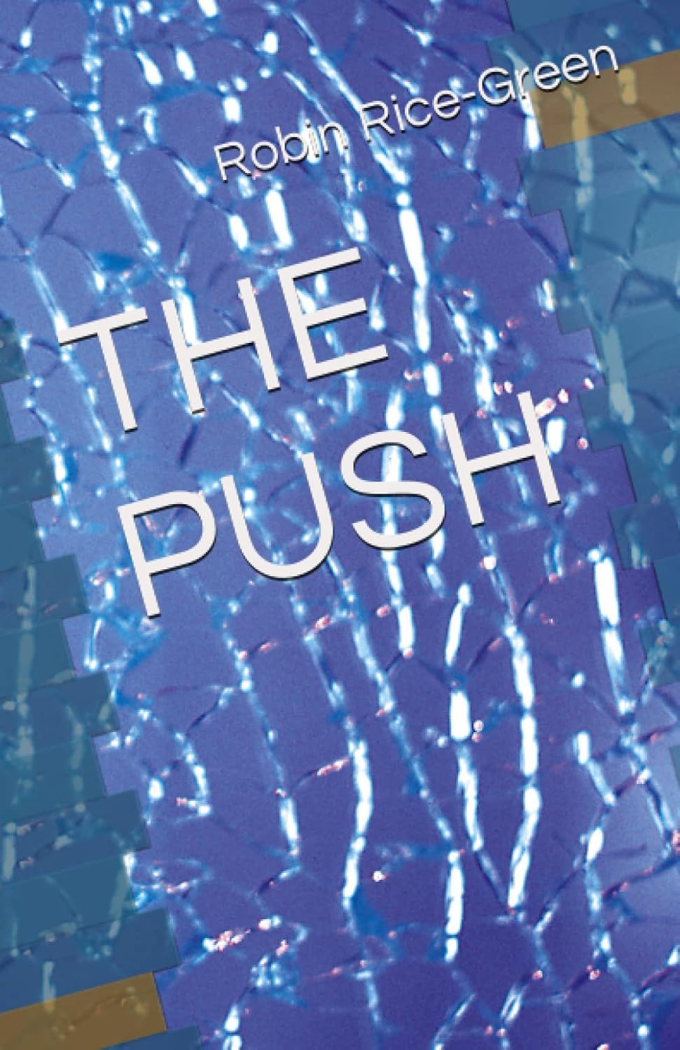 THE PUSH: Rice-Green, Robin: 9798386819309: Amazon.com: Books