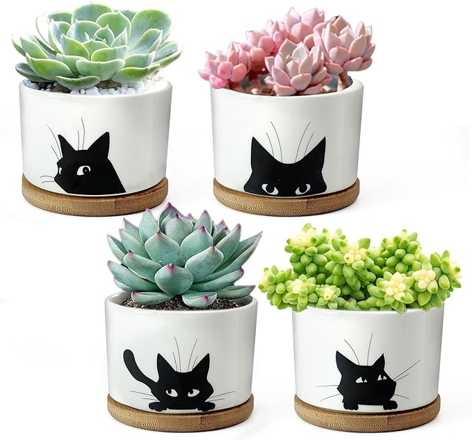 Amazon.com: LAMHIMD 4 Pcs Black Cat Ceramic Pots, Succulent Plant Pots ...