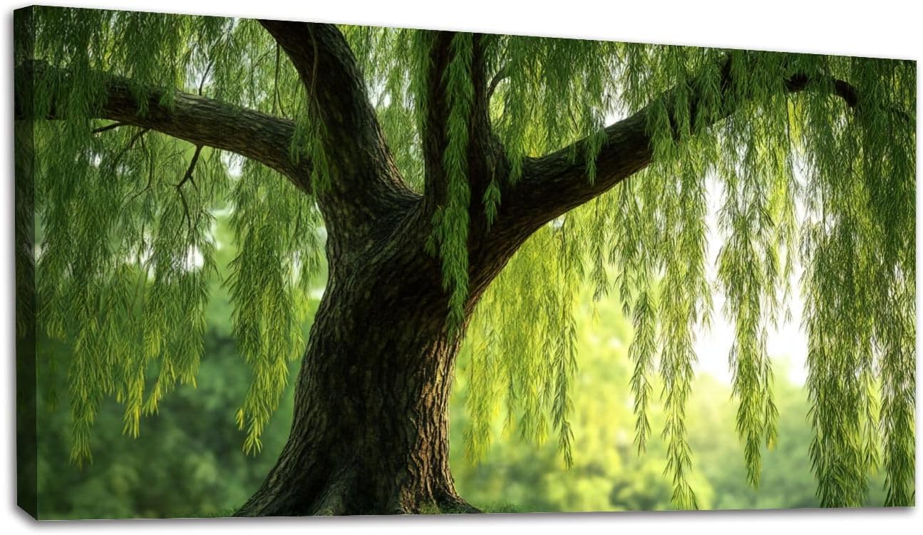 Amazon.com: 20"x 40" Large Wall Art weeping willow tree weeping willow ...