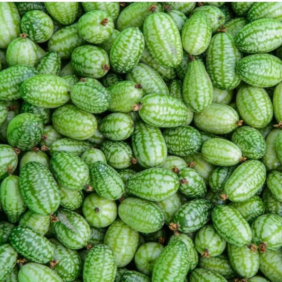 Amazon.co.uk: cucamelon