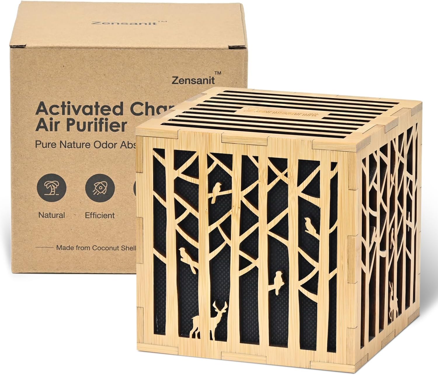 Amazon.com: Activated Charcoal Odor Absorber, Natural Odor Eliminator ...
