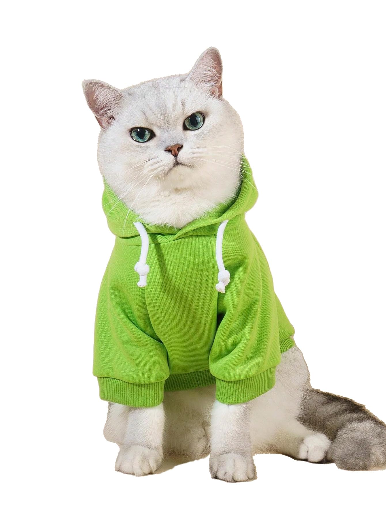 Amazon.com : QWINEE Basic Dog Hoodie, Dog Warm Jacket, Cat Apparel, Dog Shirt, Dog Clothes for ...