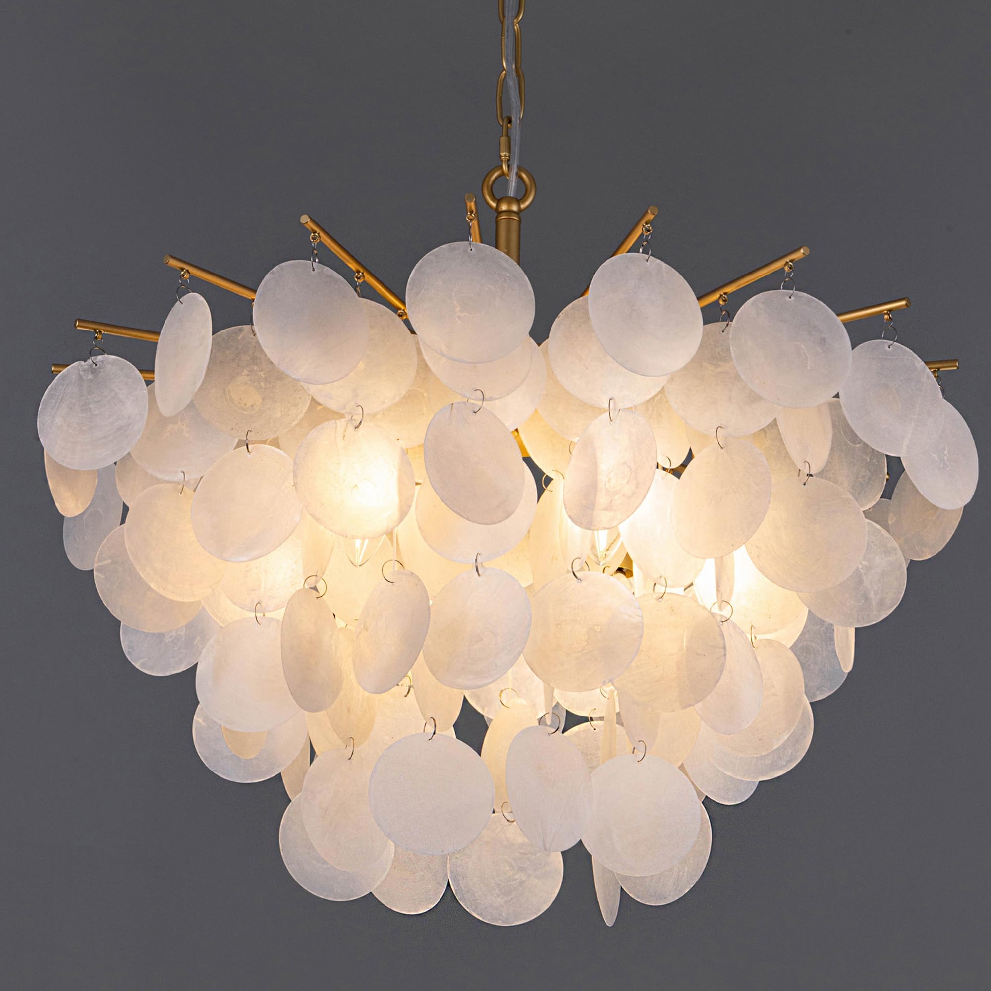 TOCHIC Capiz Shell Chandelier, 6 Light Modern Coastal Light Fixture for ...