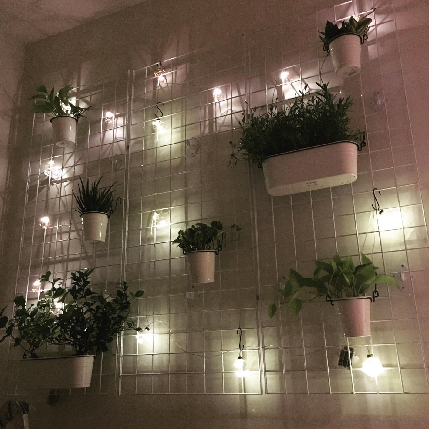 Amazon.com: Gridwall Joining Clips Connectors for Grid Panels - Chrome ...