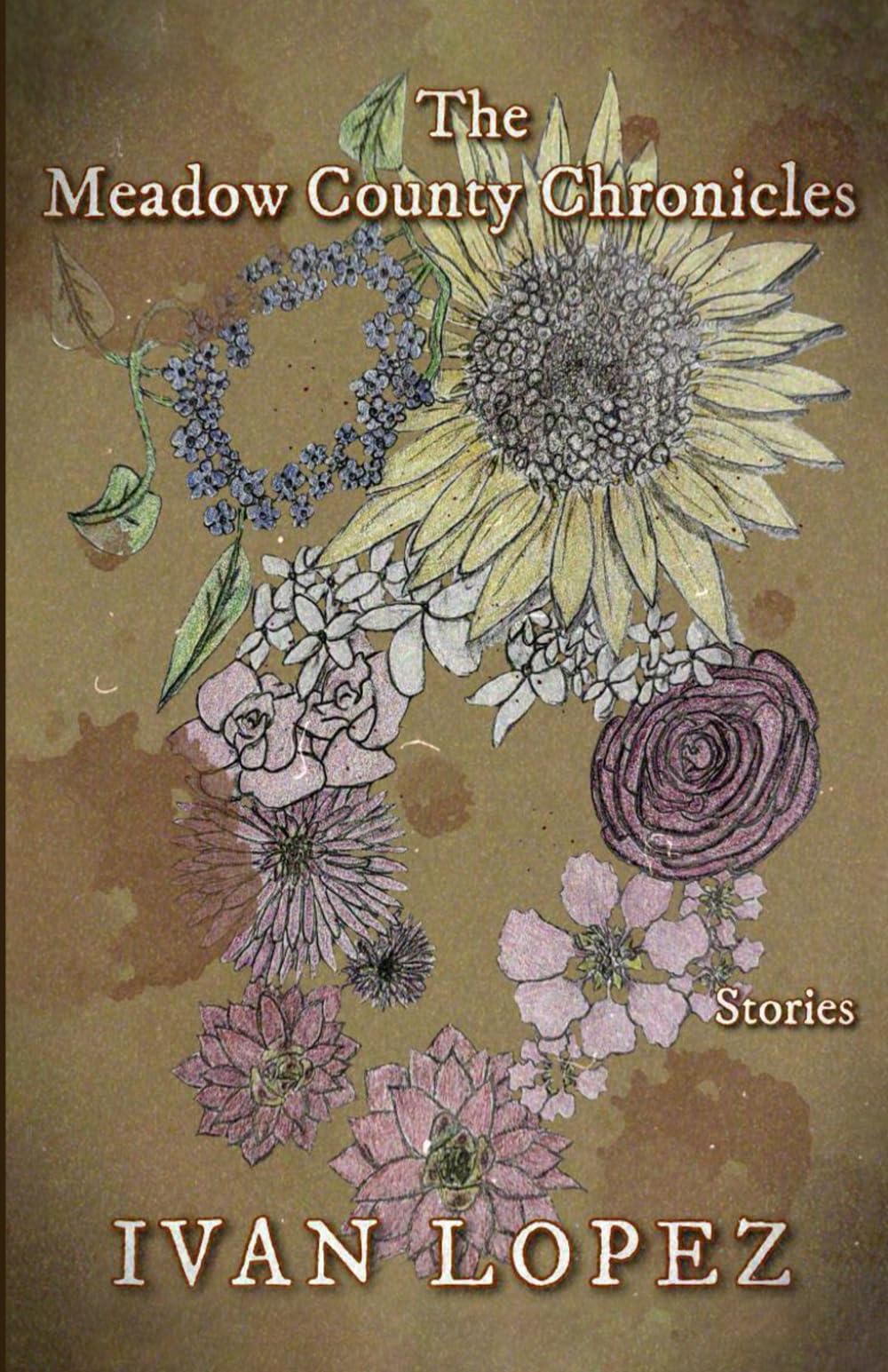 The Meadow County Chronicles: Volume 1: Lopez, Ivan: 9798879447156 ...