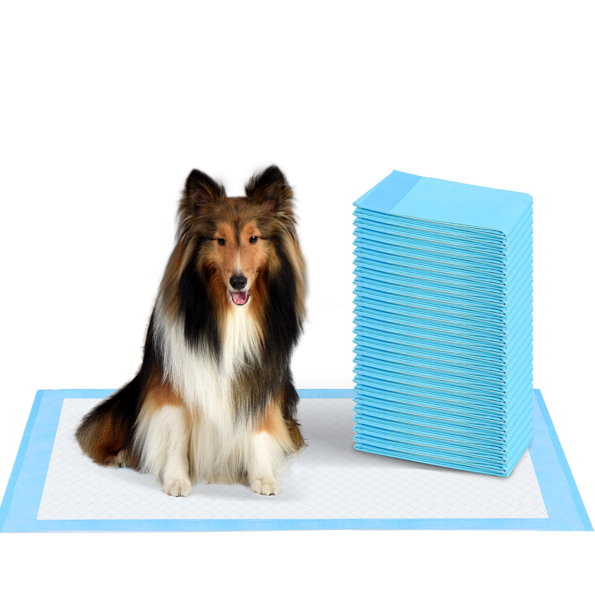 Amazon.com: FluffyDream Super Absorbent Waterproof Dog and Puppy Pet ...