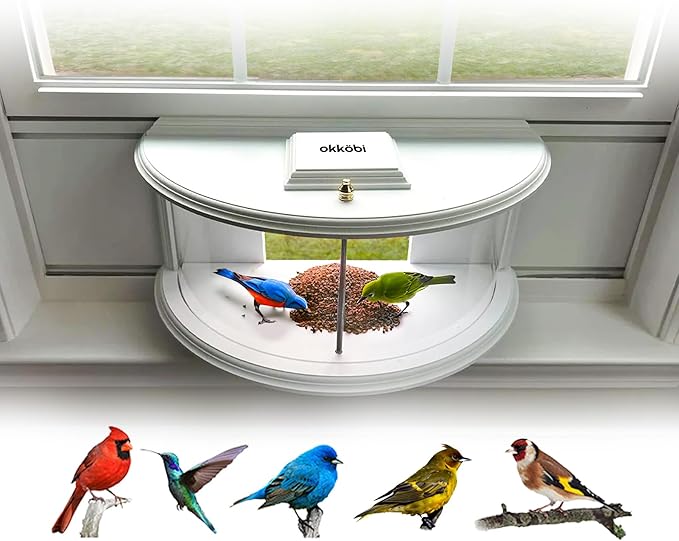 Amazon.com: Skybox Window Bird Feeder Inside House - 180 Clear View of ...