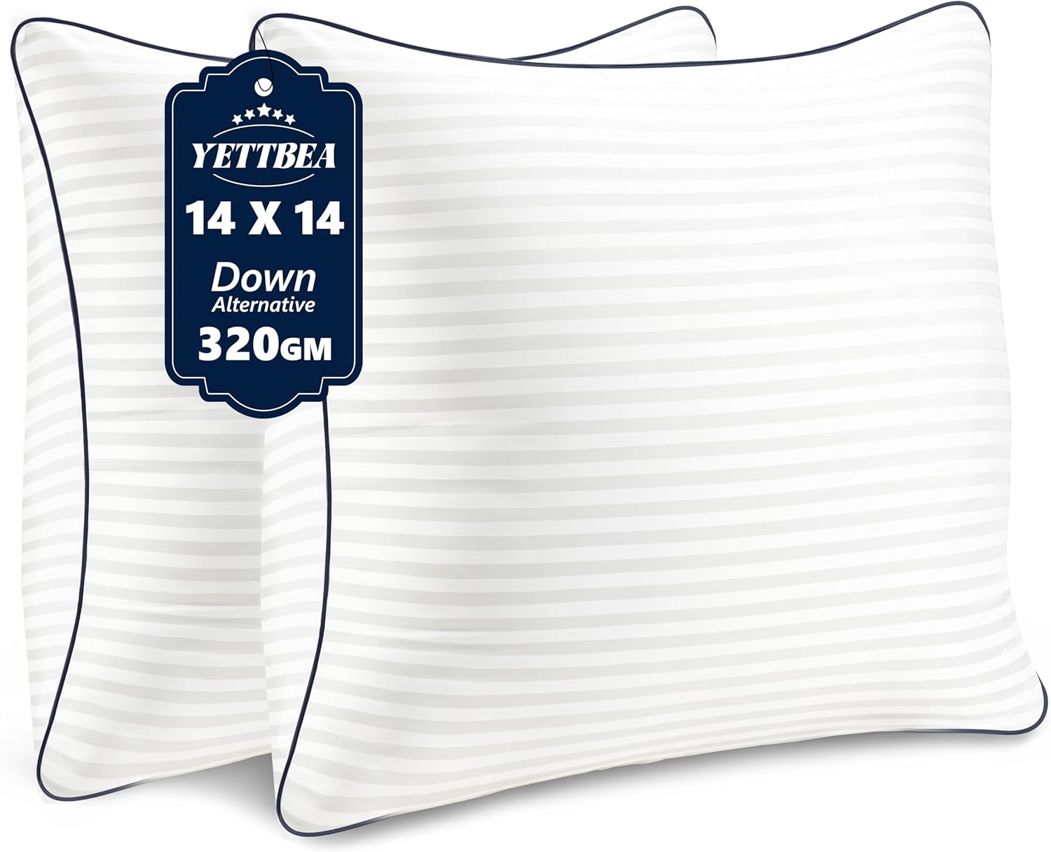 Amazon.com: Yettbea Pillows Insert 14'' x 14'' Set of 2, Decorative ...