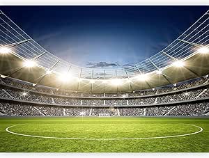 artgeist Wall Mural Stadium 154x110 in - Peel and Stick Self-Adhesive ...