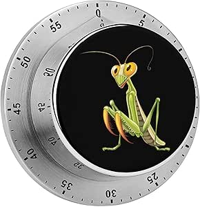 Amazon.com: Praying Mantis Insects Mechanical Stainless Steel Timer 60 ...