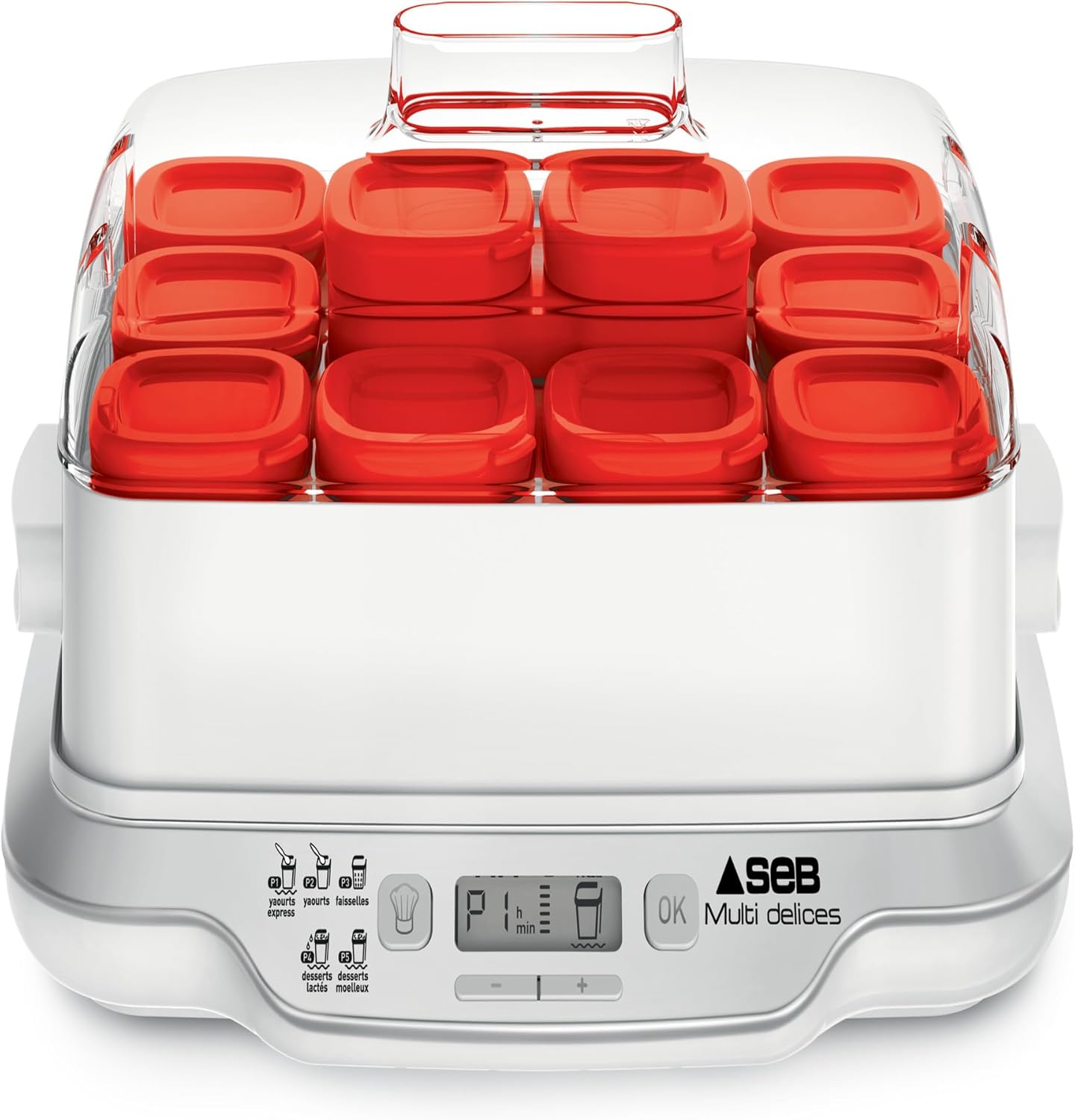 SEB Multi Délices Express YG661500 Yogurt Maker Instruction Manual