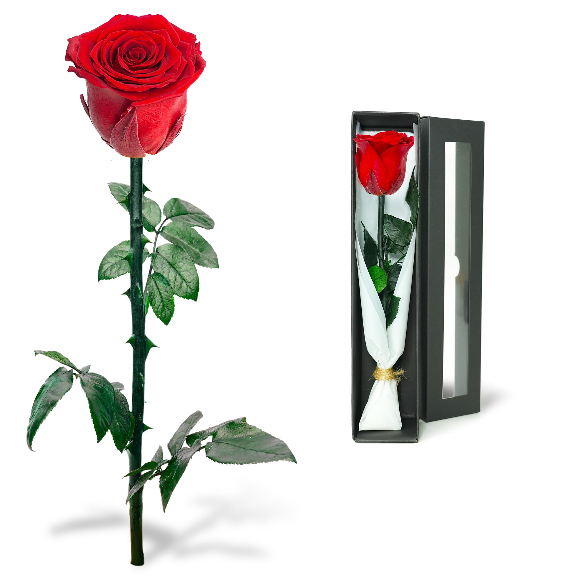 Naunauya Infinity Rose - Die ewige Rose, Unvergängliche Geschenke für ...