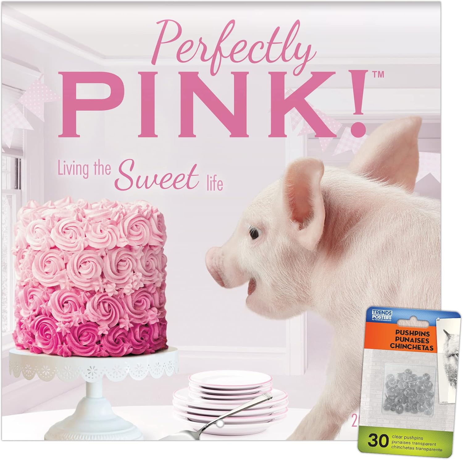 Amazon.com: 2023 Perfectly Pink Wall Calendar & Pushpins : Office Products