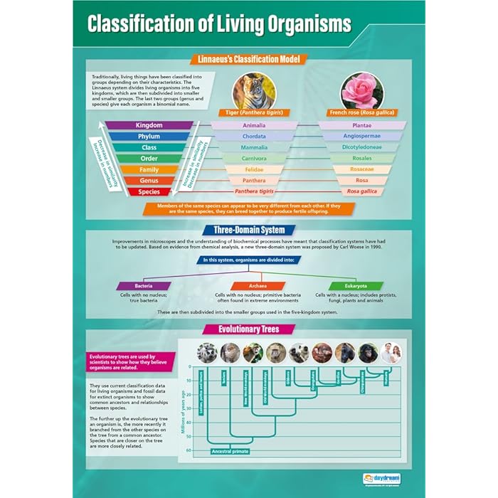 Buy Classification of Living Organisms | Science Posters | Gloss Paper ...