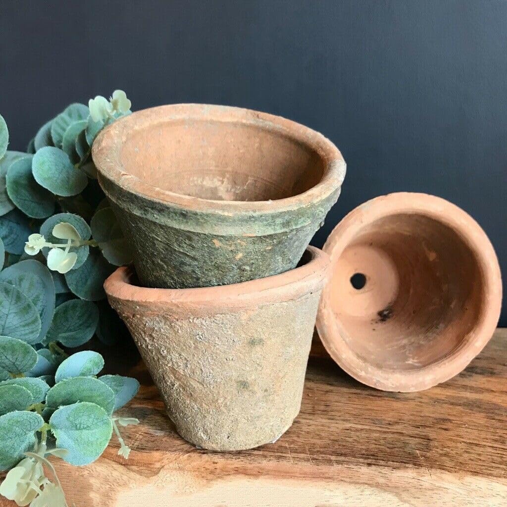 Small Terracotta Plant Pots x 3, Set of 3 Mini Rustic Planters Aged ...