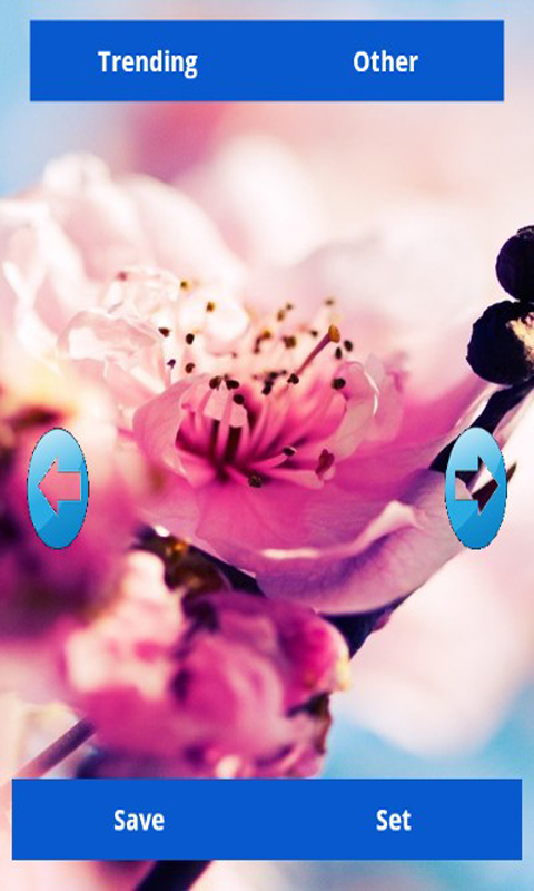 Spring Wallpapers - App on Amazon Appstore