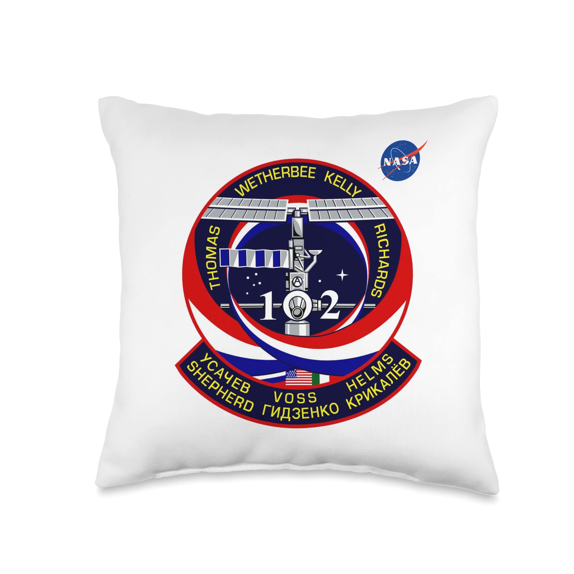Nasa Meatball Patch