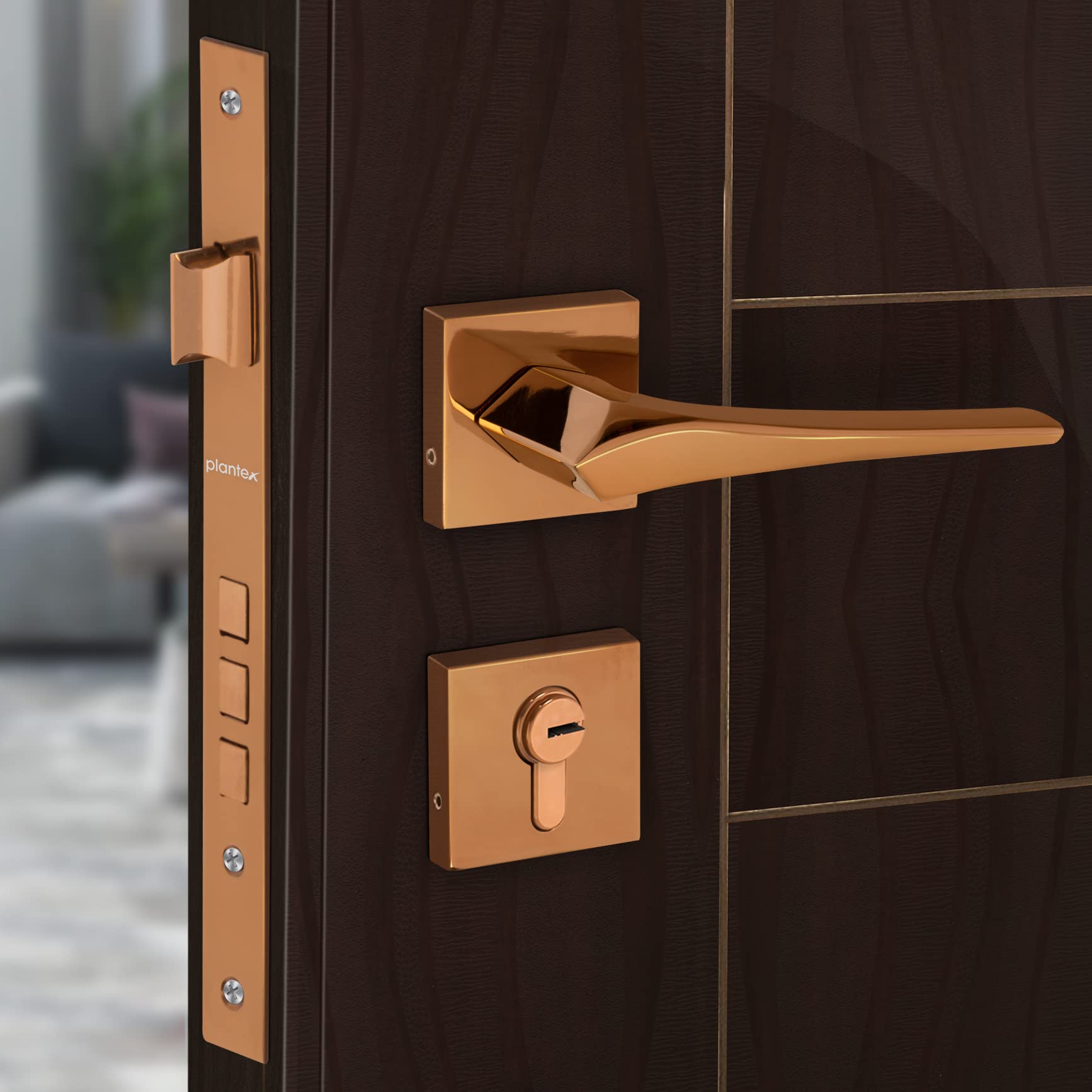 Plantex Premium Door Lock with 3 Years of Warranty/Main Door Lock for ...