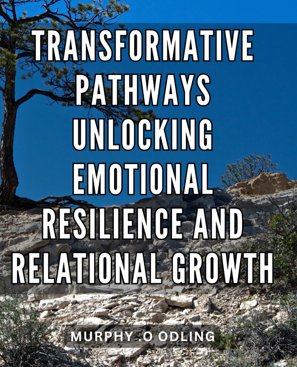 Amazon.com: Transformative Pathways: Unlocking Emotional Resilience and ...