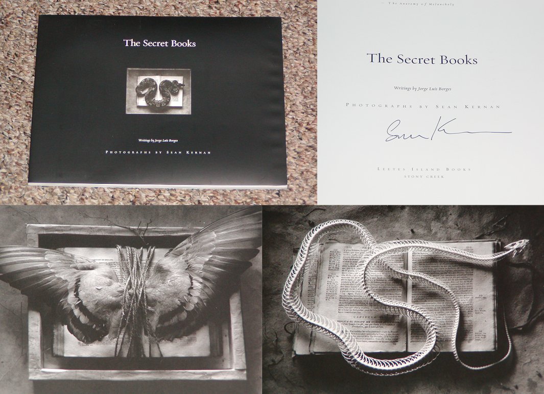 The Secret Books: Jorge Luis Borges, Sean Kernan: 9780918172211: Amazon ...