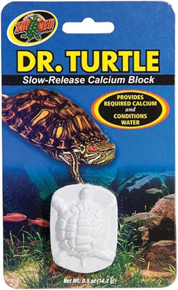 Turtles And Their Skeletal System: Unveiling Bone Facts | PetShun