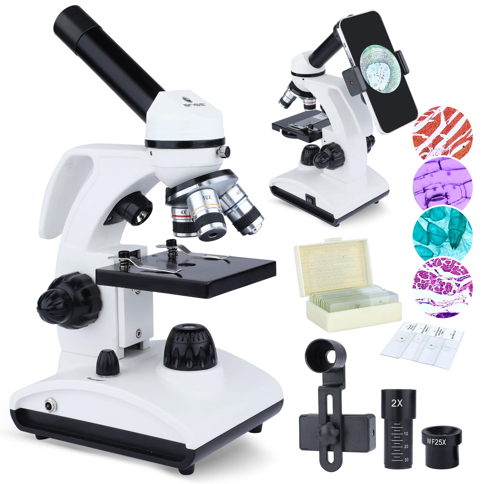 Bnise 100x 2000x Microscopes For Kids Students Beginners Microscope ...