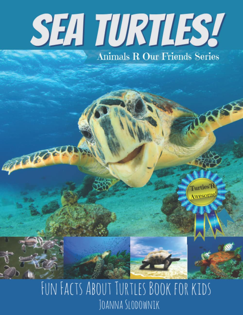 Sea Turtles! Fun Facts about Turtles Book for Kids with Amazing Photos ...