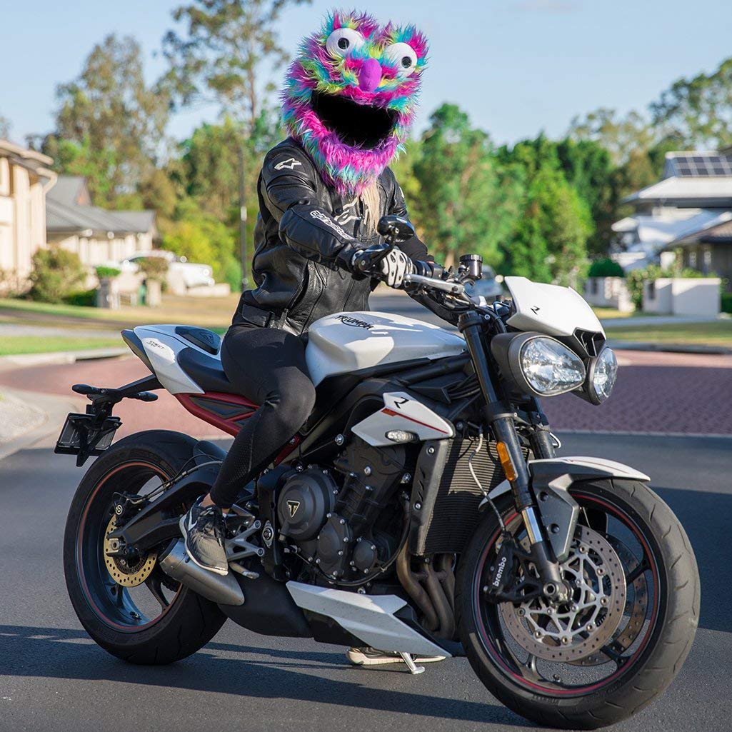 Muppet Motorcycle Helmet | Reviewmotors.co