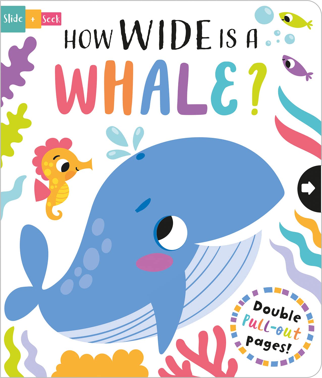 Amazon.com: How Wide is a Whale? (Slide and Seek - Multi-Stage Pull Tab ...