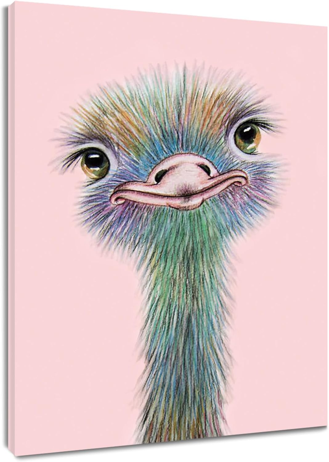 Amazon.com: HVEST Ostrich Canvas Wall Art Watercolor Cute Animal on ...