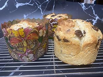 Amazon.com: 12oz Panettone Paper Mold Murals Kulich Mold Butterfly ...