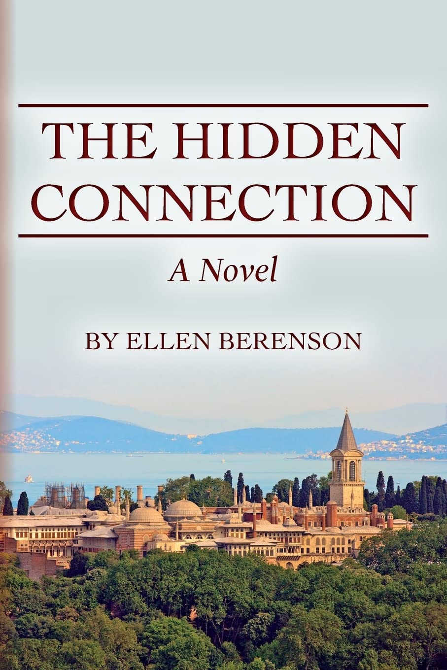 The Hidden Connection: A Novel: Berenson, Ellen: 9781496122025: Amazon ...