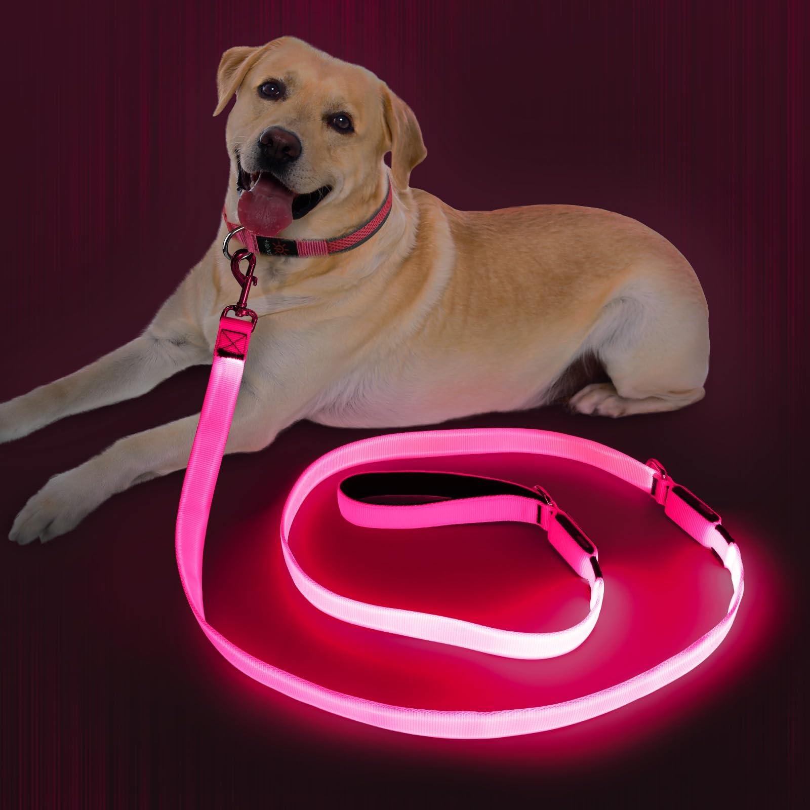 Amazon.com : Luminoid LED Dog Leash | 6 ft | USB Rechargeable | 12 ...
