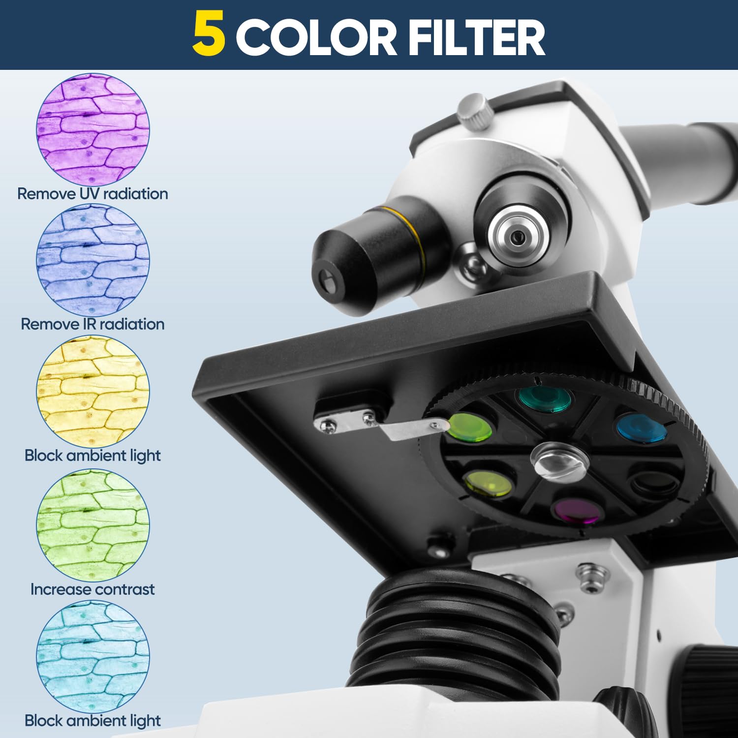 Snapklik.com : Microscope For Adults Kids, 100X-2000X Powerful ...