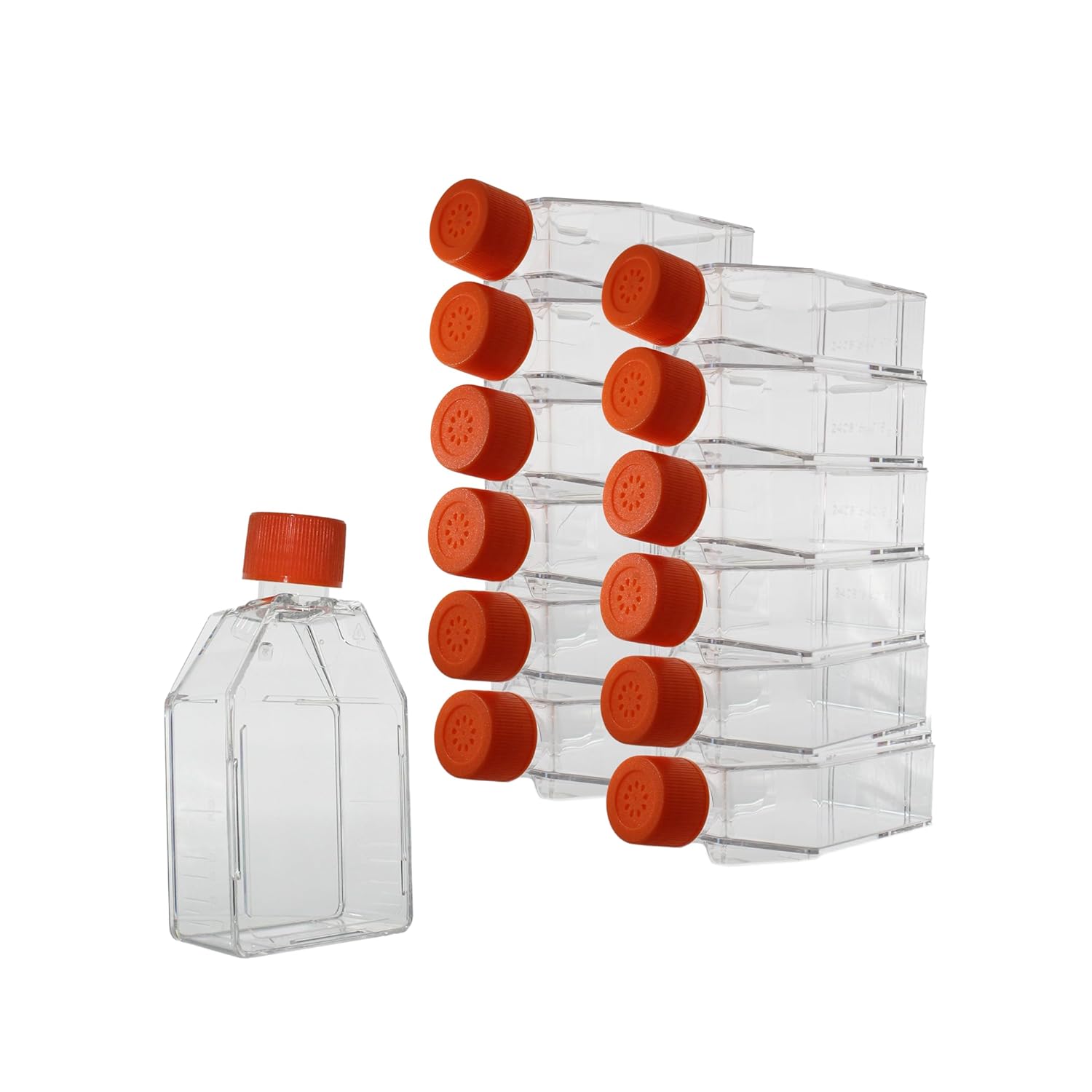 SciStar 25 cm² Cell Culture Flasks with Vent Cap, Sterile Polystyrene ...
