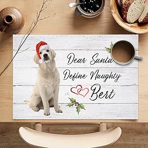 Amazon.com: Dining Placemats Dear Santa Define Naughty Placemats Lovely ...