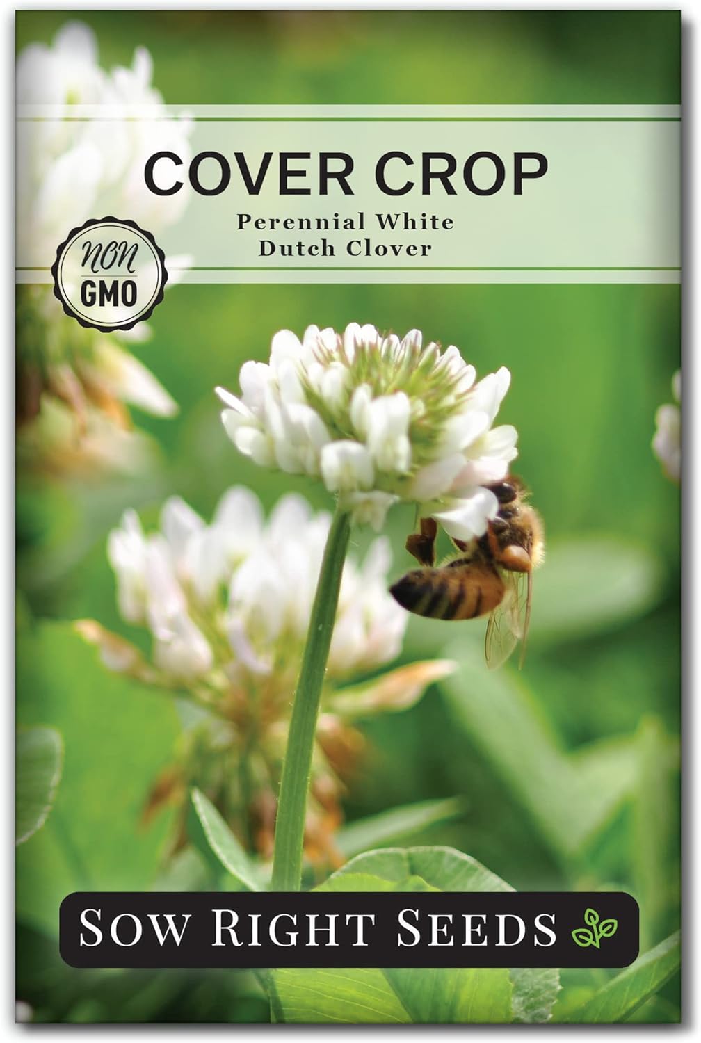 Amazon.com : Sow Right Seeds - White Dutch Clover Seed for Planting ...