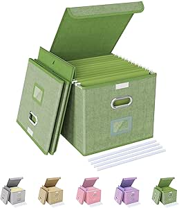 Amazon.com: Oterri 2 Pack File Organizer Box,File Box,Small File ...