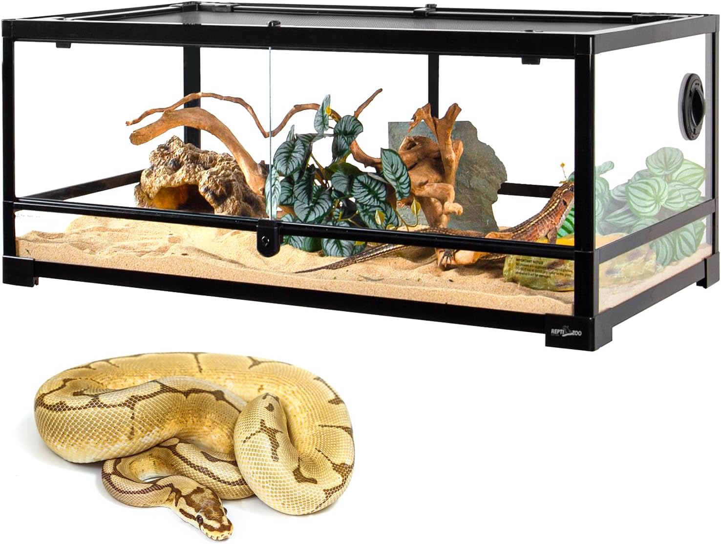 Amazon.com : REPTIZOO Glass Reptile Tank 36" x 18"x 12", 35 Gallon ...