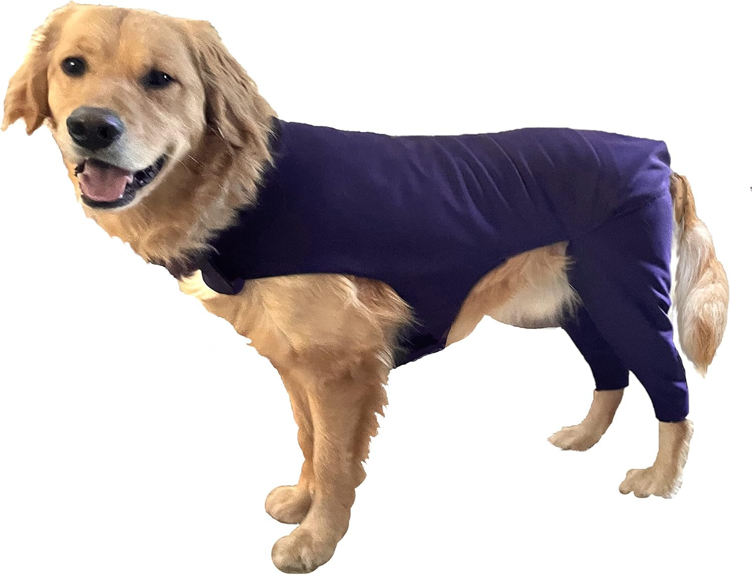How To Stop My Dog From Licking His Leg how-to-stop-my-dog-from-licking-his-leg